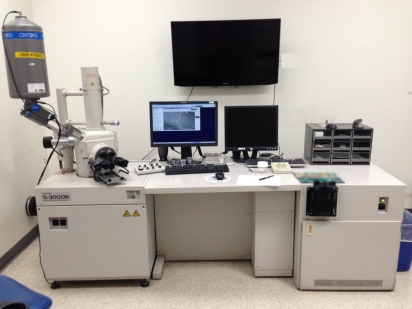 HITACHI S-3000 (SCANNING ELECTRON MICROSCOPES) for sale (used, price) > buy from CAE