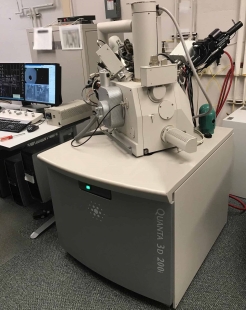 PHILIPS / FEI Quanta 250 (SCANNING ELECTRON MICROSCOPES) for sale (used ...