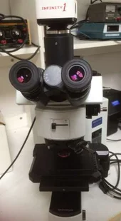 OLYMPUS BX51RF Microscope used for sale price #9363799 > buy from CAE