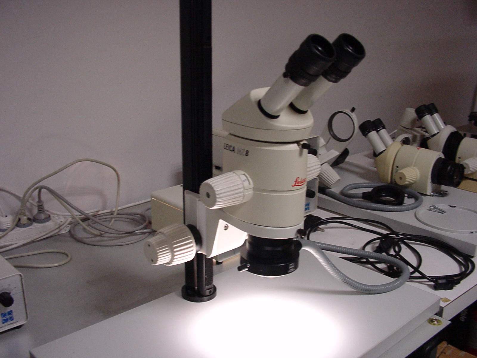 LEICA MZ8 Microscope used for sale price #125101 > buy from CAE