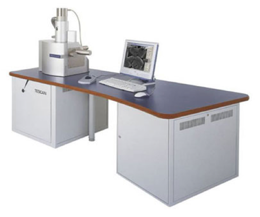 TESCAN Vega LSH SEM used for sale price #118435 > buy from CAE