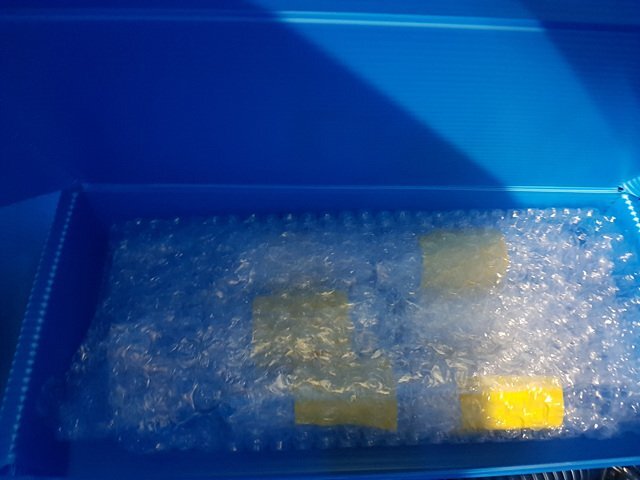 AMAT / APPLIED MATERIALS Vantage Vulcan Rapid Thermal Processor used ...