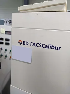 BECTON DICKINSON / BD BIOSCIENCES FACSCalibur Lab Equipment used for ...