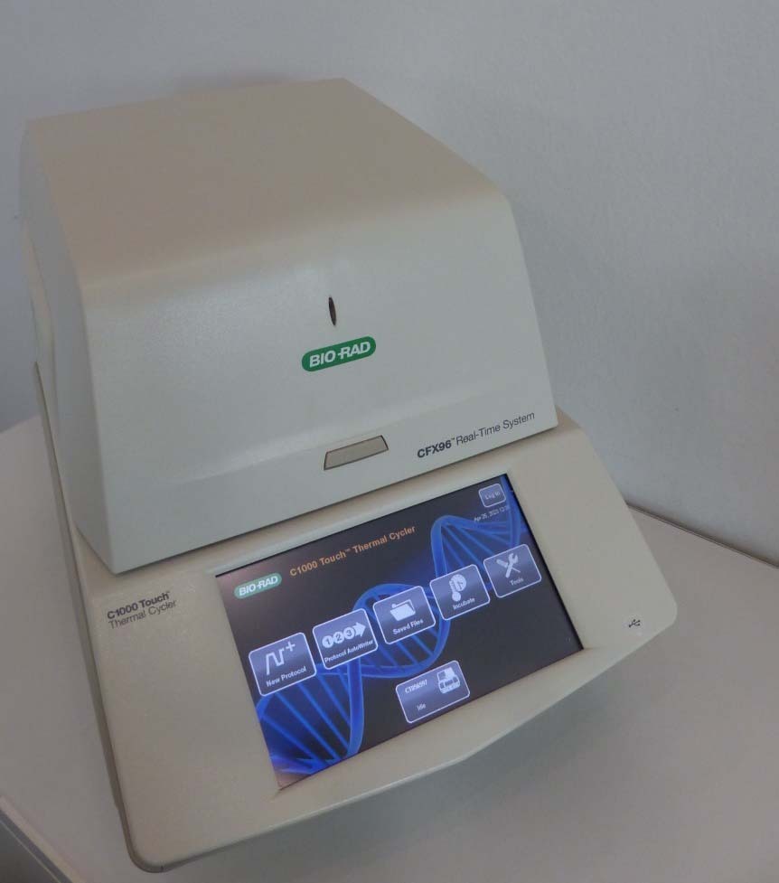 BIO-RAD CFX96 실험실 장비 & 액세서리 판매 가격 #293657975, 2021에 사용됨 > CAE에서 구매