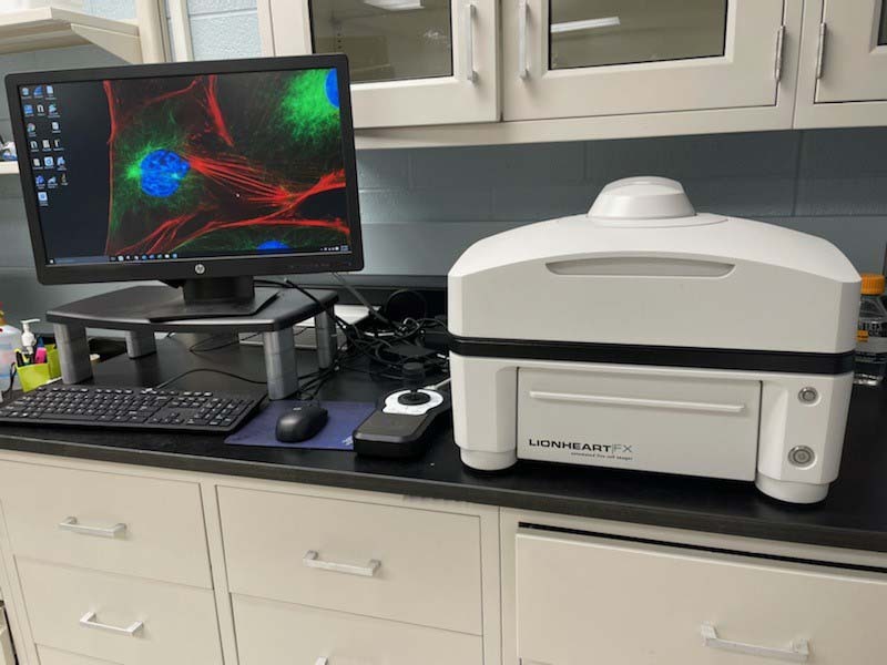 BIOTEK Lionheart FX 현미경 판매 가격 #9389487, 2017에 사용됨 > CAE에서 구매