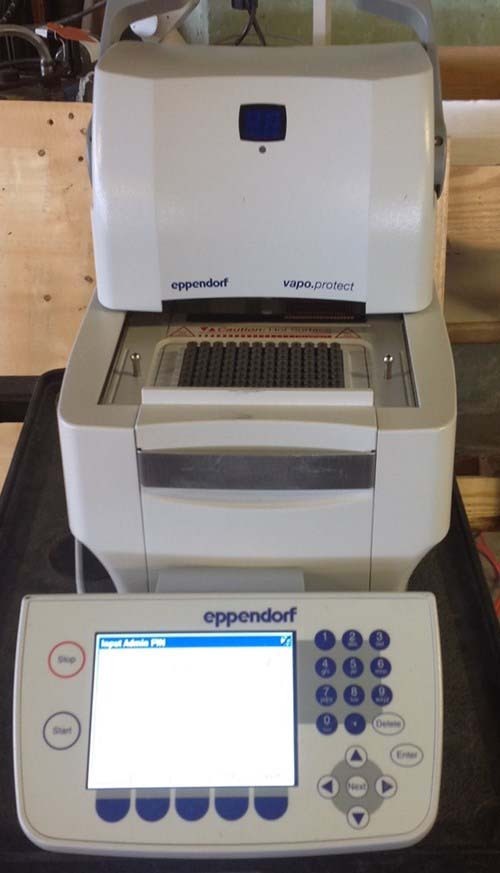 EPPENDORF Mastercycler Pro Lab Equipment used for sale price #293600864 ...