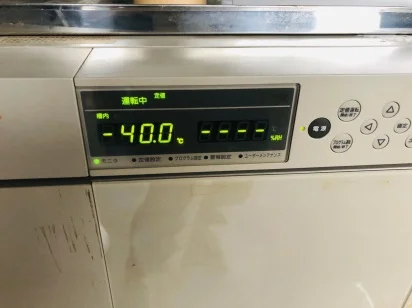 ESPEC SH-641 Chamber used for sale price #9272482, 2006 > buy from CAE