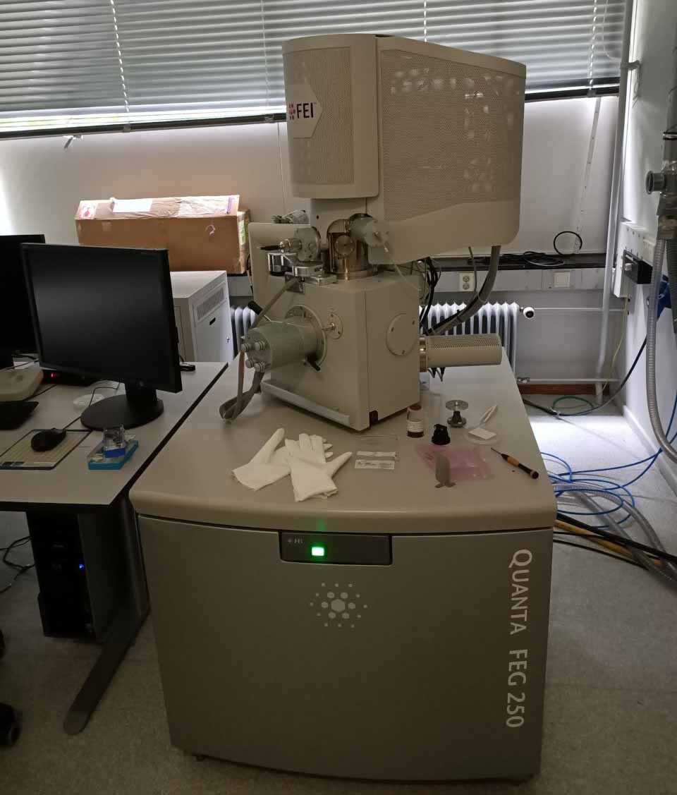 PHILIPS / FEI Quanta 250 FEG SEM 판매 가격 #293617345에 사용됨 > CAE에서 구매