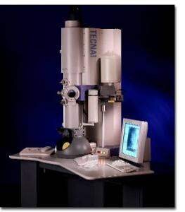PHILIPS / FEI Tecnai 20 S-Twin SEM used for sale price #9180026, 2001 ...