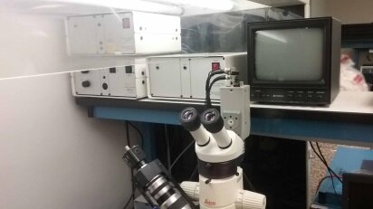 FINETECH Fineplacer Pico used for sale price #9240089 > buy from CAE