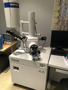 HITACHI S-3200N SEM used for sale price #9386970 > buy from CAE