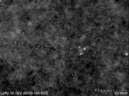 HITACHI S-5500 SEM used for sale price #9033402 > buy from CAE