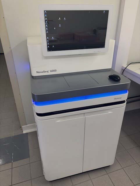 ILLUMINA NovaSeq 6000 Lab Equipment used for sale price #293767119 ...