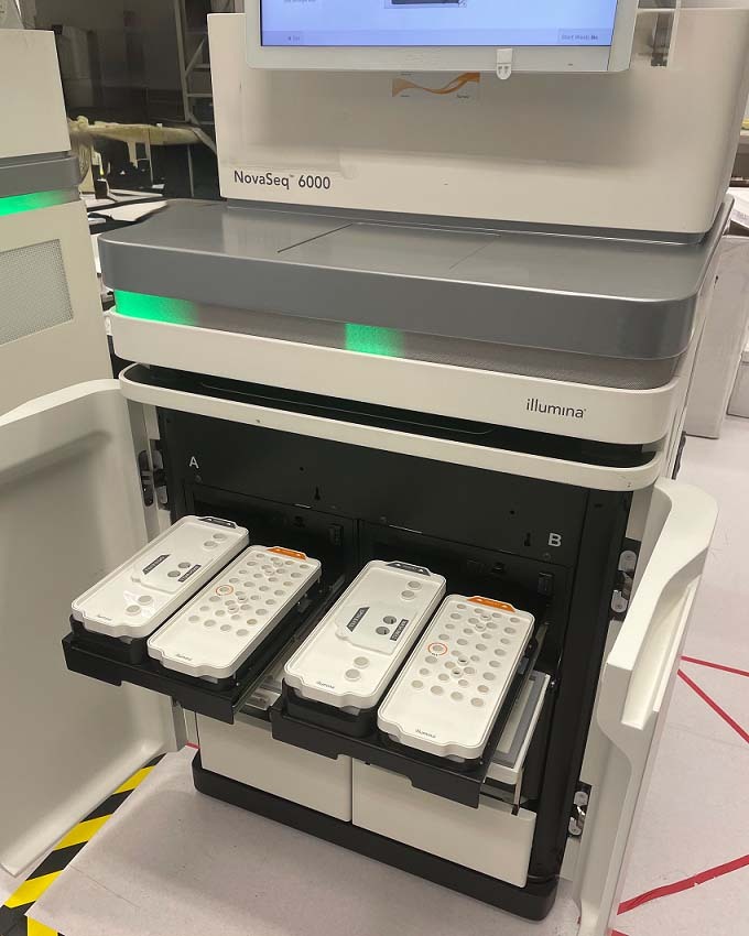 ILLUMINA NovaSeq 6000 Lab Equipment used for sale price #293774213 ...
