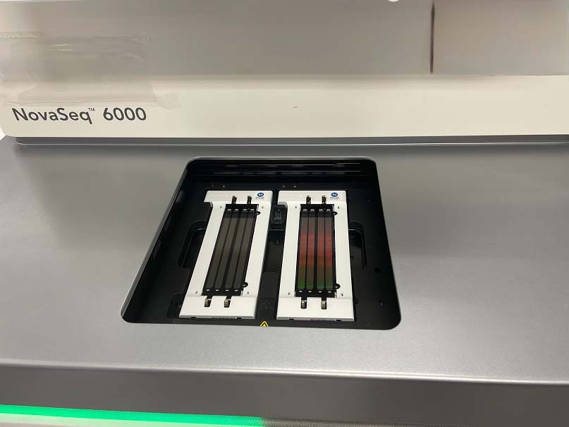 ILLUMINA NovaSeq 6000 Lab Equipment used for sale price #293774213 ...