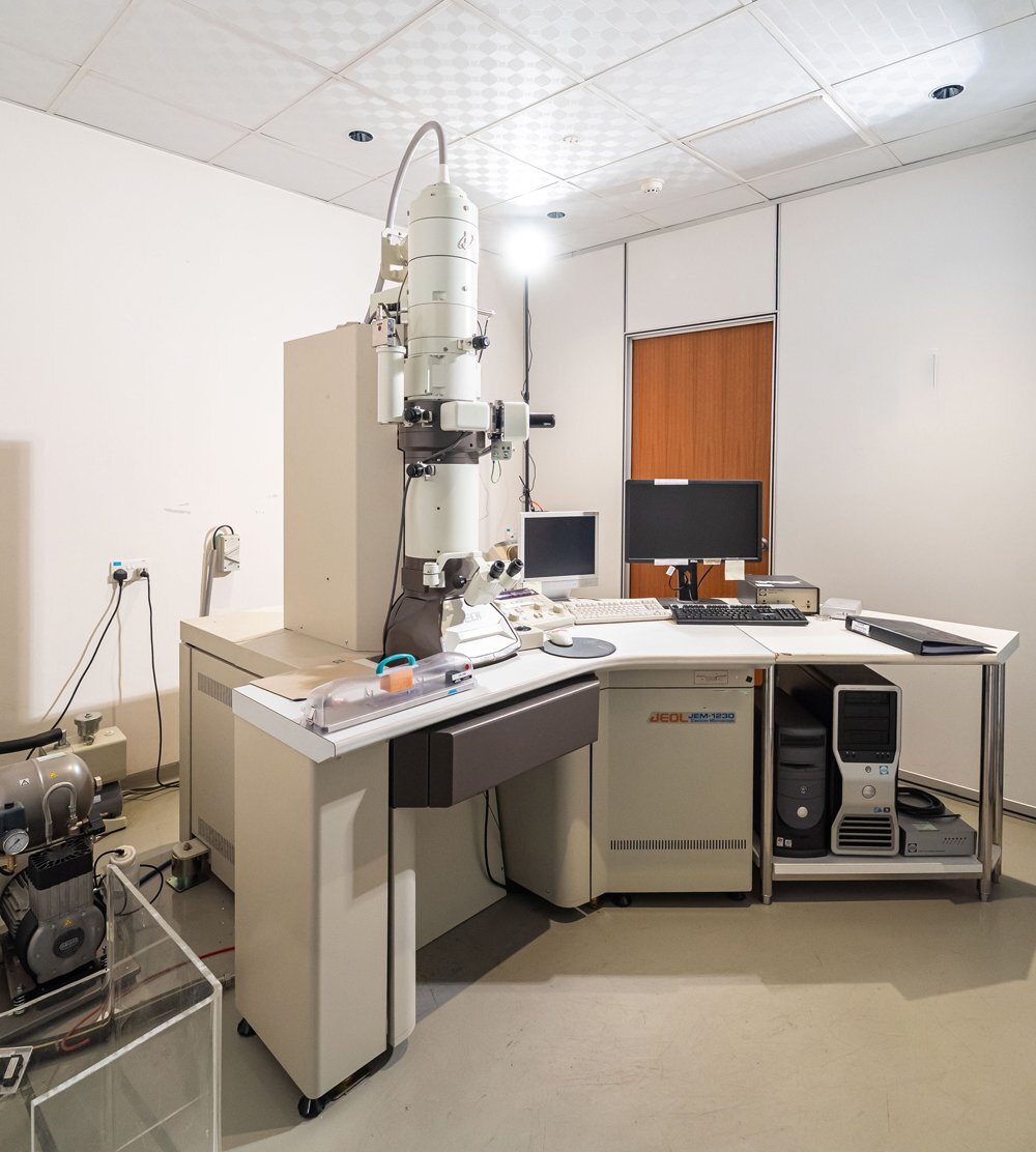 JEOL JEM 1230 SEM used for sale price #293775969 > buy from CAE