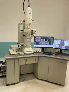 JEOL JEM 1400 SEM used for sale price #293763269, 2007 > buy from CAE