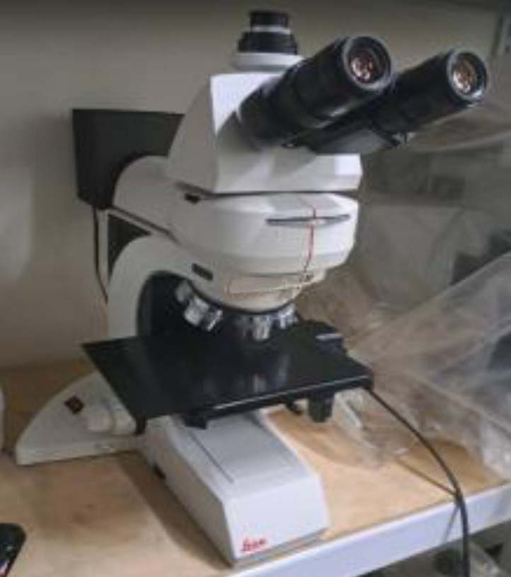LEICA DMLM Microscope used for sale price #293763791 > buy from CAE