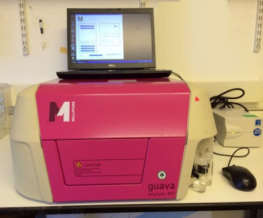 MILLIPORE Guava EasyCyte 8HT 실험실 장비 & 액세서리 판매 가격 #9043537에 사용됨 > CAE에서 구매