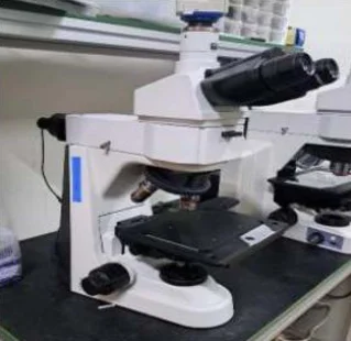 NIKON Eclipse 50i Microscope used for sale price #293763795 > buy from CAE