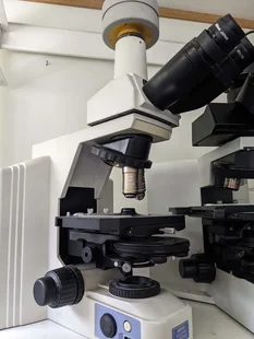 NIKON Eclipse E 600 Microscope used for sale price #293660073 > buy from CAE