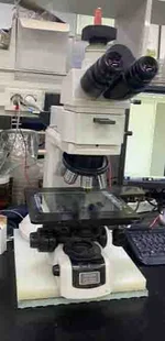 NIKON Eclipse LV 100 ND 현미경 판매 가격 #293663873에 사용됨 > CAE에서 구매