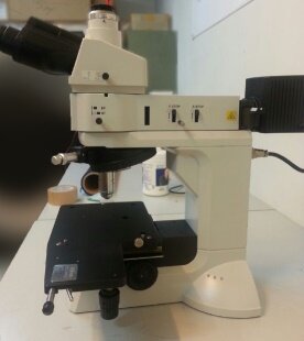 NIKON Eclipse LV 150 현미경 판매 가격 #9070918에 사용됨 > CAE에서 구매