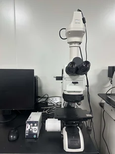 NIKON Eclipse LV 150NA Microscope used for sale price #293762610 > buy from CAE