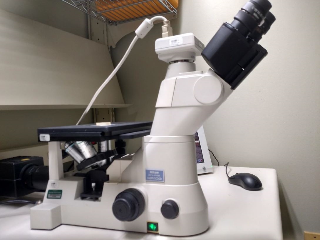 NIKON Eclipse MA100 Microscope used for sale price #9219999 > buy from CAE