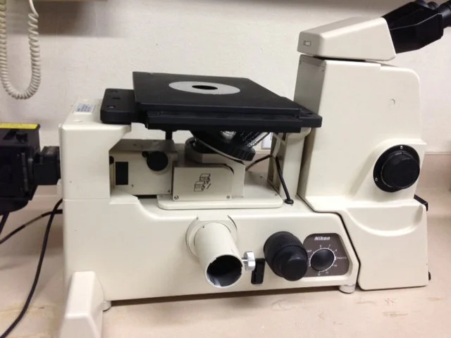 NIKON Epiphot 300 Microscope used for sale price #293637083 > buy from CAE