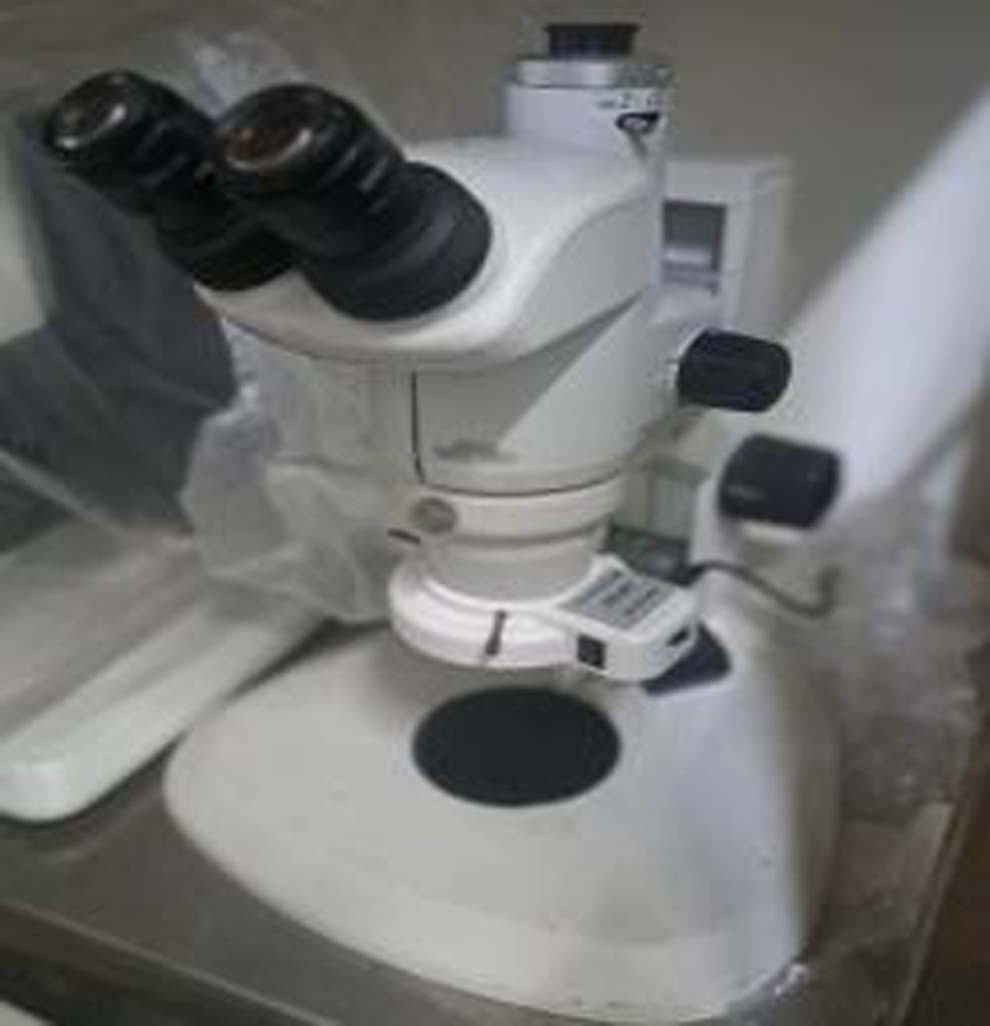 NIKON SMZ-745 Microscope used for sale price #293763498 > buy from CAE
