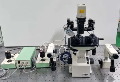 NIKON TMS Microscope used for sale price #293682697 > buy from CAE