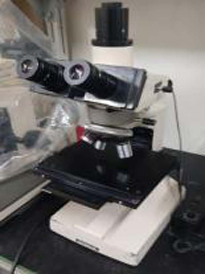 OLYMPUS BHM Microscope used for sale price #293763881 > buy from CAE