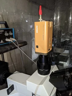 OLYMPUS BX51 TRF Microscope used for sale price #9412530, 2006 > buy ...