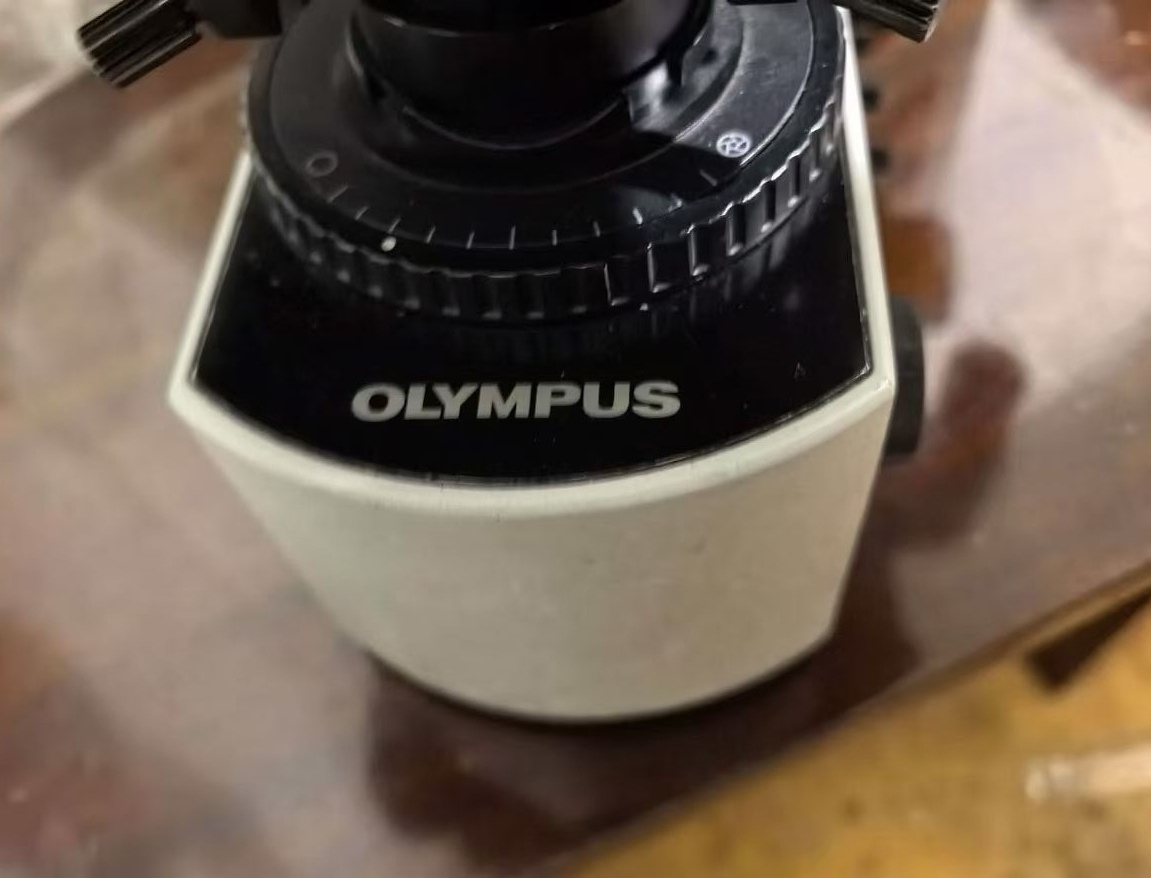 OLYMPUS BX51 Microscope used for sale price #293815843 > buy from CAE