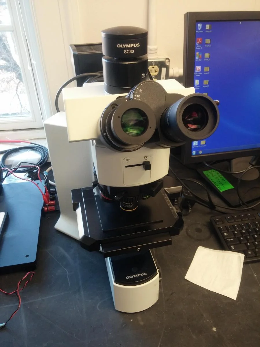 OLYMPUS BX51RF 현미경 판매 가격 #9249920에 사용됨 > CAE에서 구매