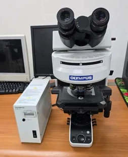 OLYMPUS BX53-FL Microscope used for sale price #293721882 > buy from CAE