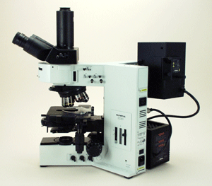 OLYMPUS BX60 Microscope used for sale price #118567 > buy from CAE