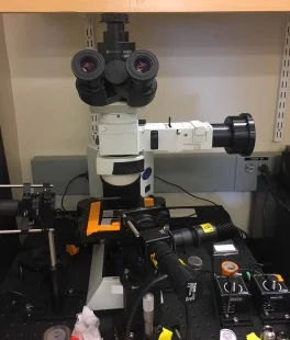 OLYMPUS CX41RF Microscope used for sale price #9199750 > buy from CAE