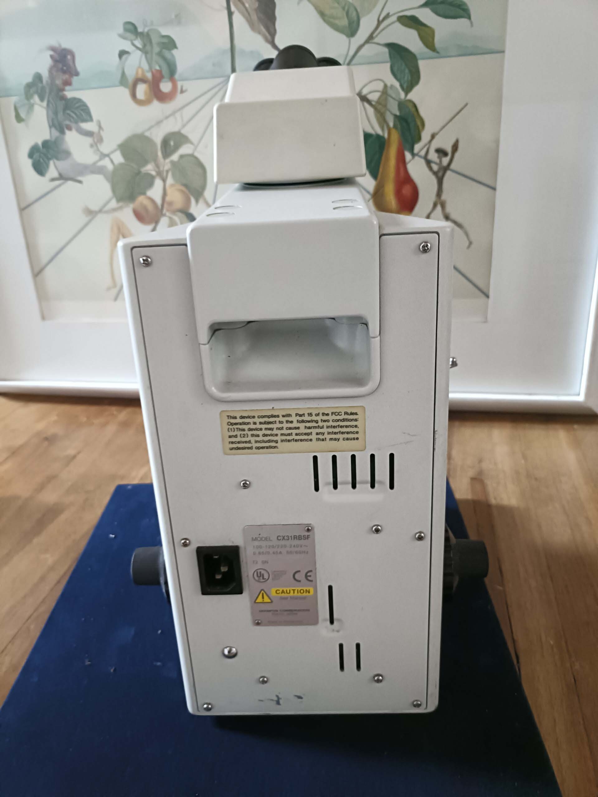 OLYMPUS CX31 Microscope used for sale price #293758435 > buy from CAE