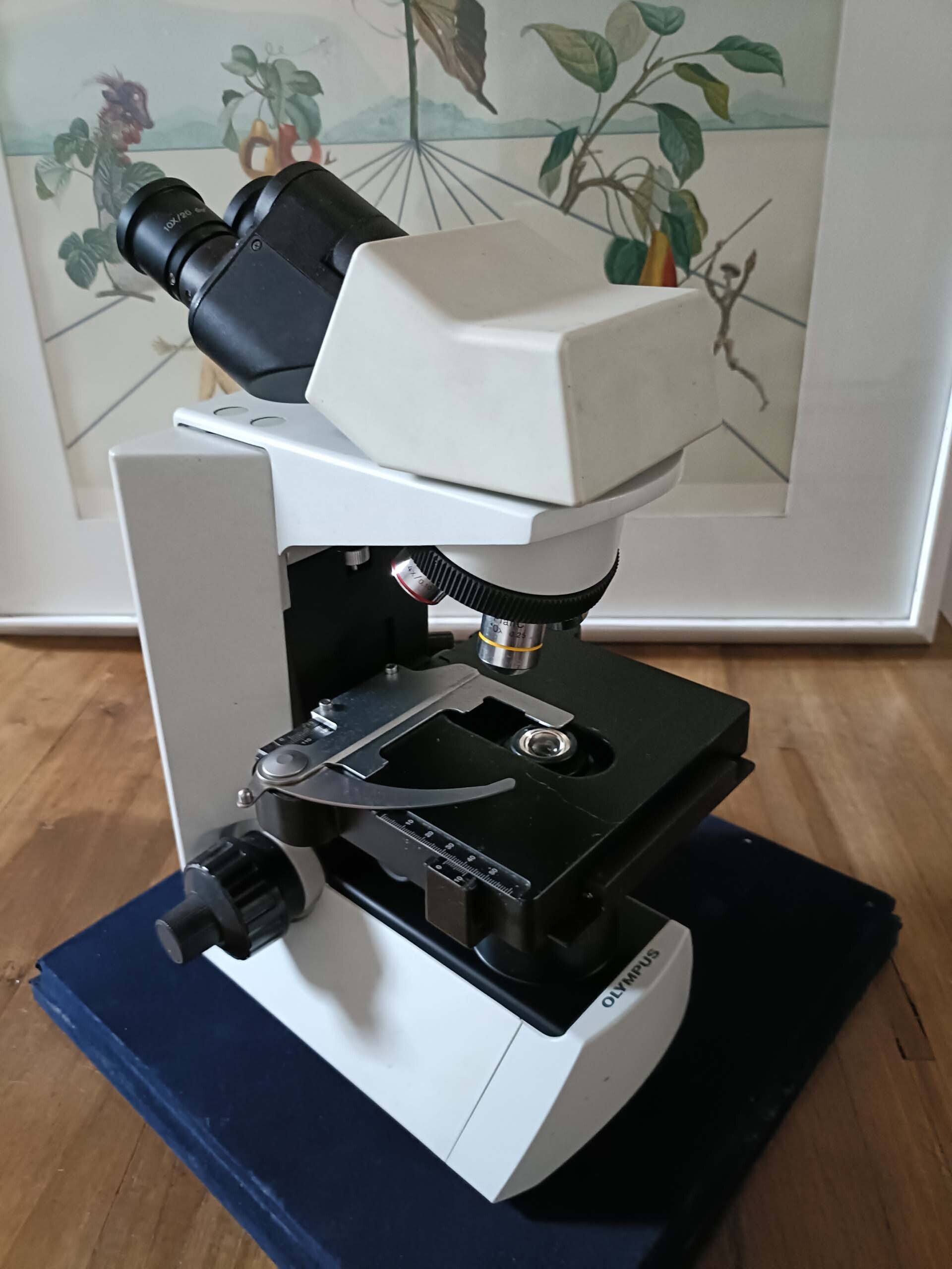 OLYMPUS CX31 Microscope used for sale price #293758435 > buy from CAE