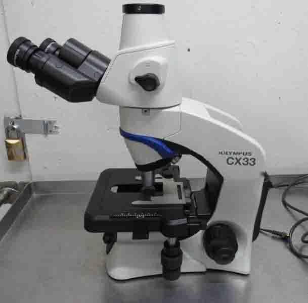 OLYMPUS CX33 현미경 판매 가격 #293610322에 사용됨 > CAE에서 구매