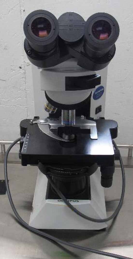 OLYMPUS CX41RF 顯微鏡 用於銷售價格 #293628323 > 從 CAE 購買