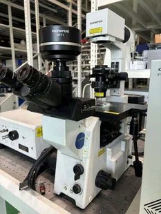 OLYMPUS IX71 Microscope used for sale price #293759673 > buy from CAE