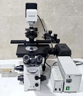 OLYMPUS IX71 Microscope used for sale price #293763671 > buy from CAE