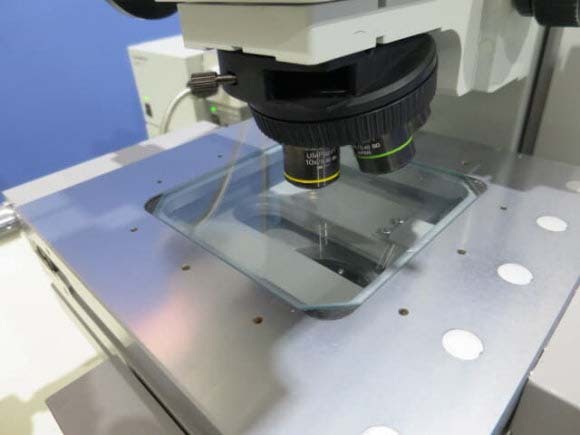 OLYMPUS STM6 Microscope used for sale price #293769367 > buy from CAE
