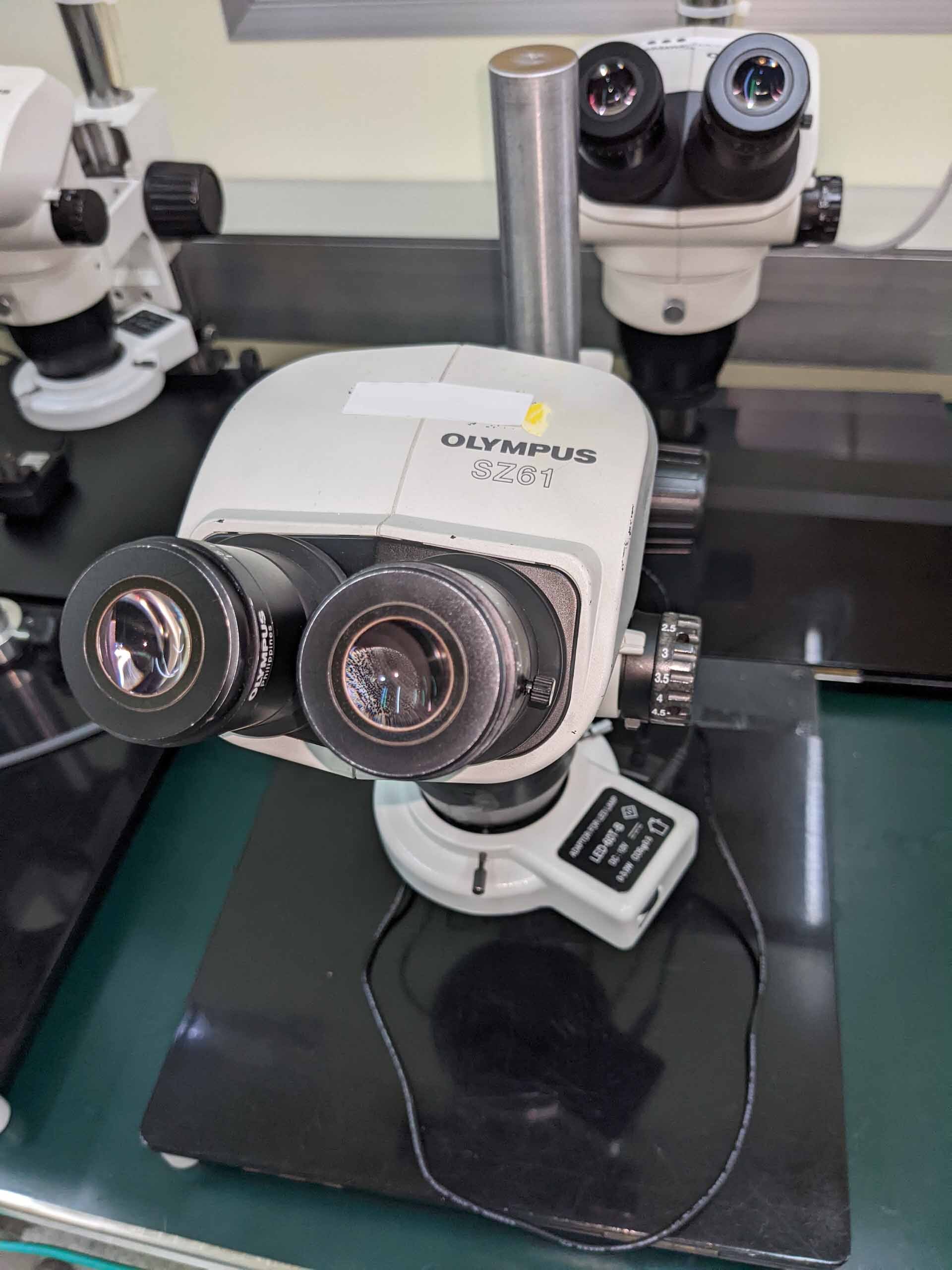 OLYMPUS SZ61 Microscope used for sale price #293654431 > buy from CAE