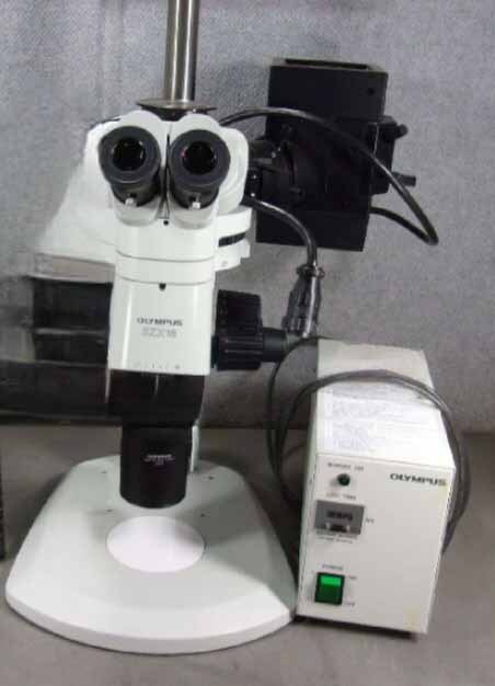 OLYMPUS SZX 16 Microscope 익숙한 판매용 가격 #293651812 > 사다 from CAE