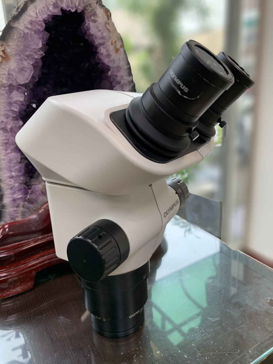 OLYMPUS SZX 7 Microscope used for sale price #293793508 > buy from CAE