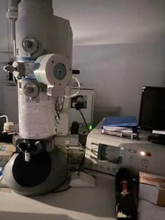 PHILIPS / FEI CM120 SEM used for sale price #9371673 > buy from CAE